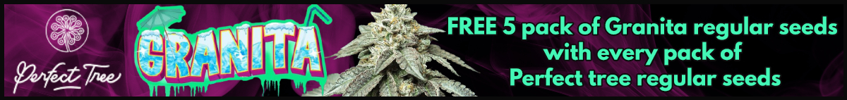 Cannabis Seeds | Marijuana Seeds from UK's Discreet Seeds