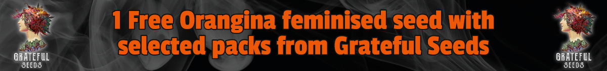 Cannabis Seeds | Marijuana Seeds from UK's Discreet Seeds