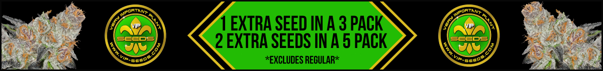 Discreet Seeds Cannabis Seeds | Discreet Seeds