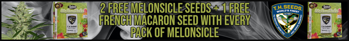 Cannabis Seeds | Marijuana Seeds from UK's Discreet Seeds